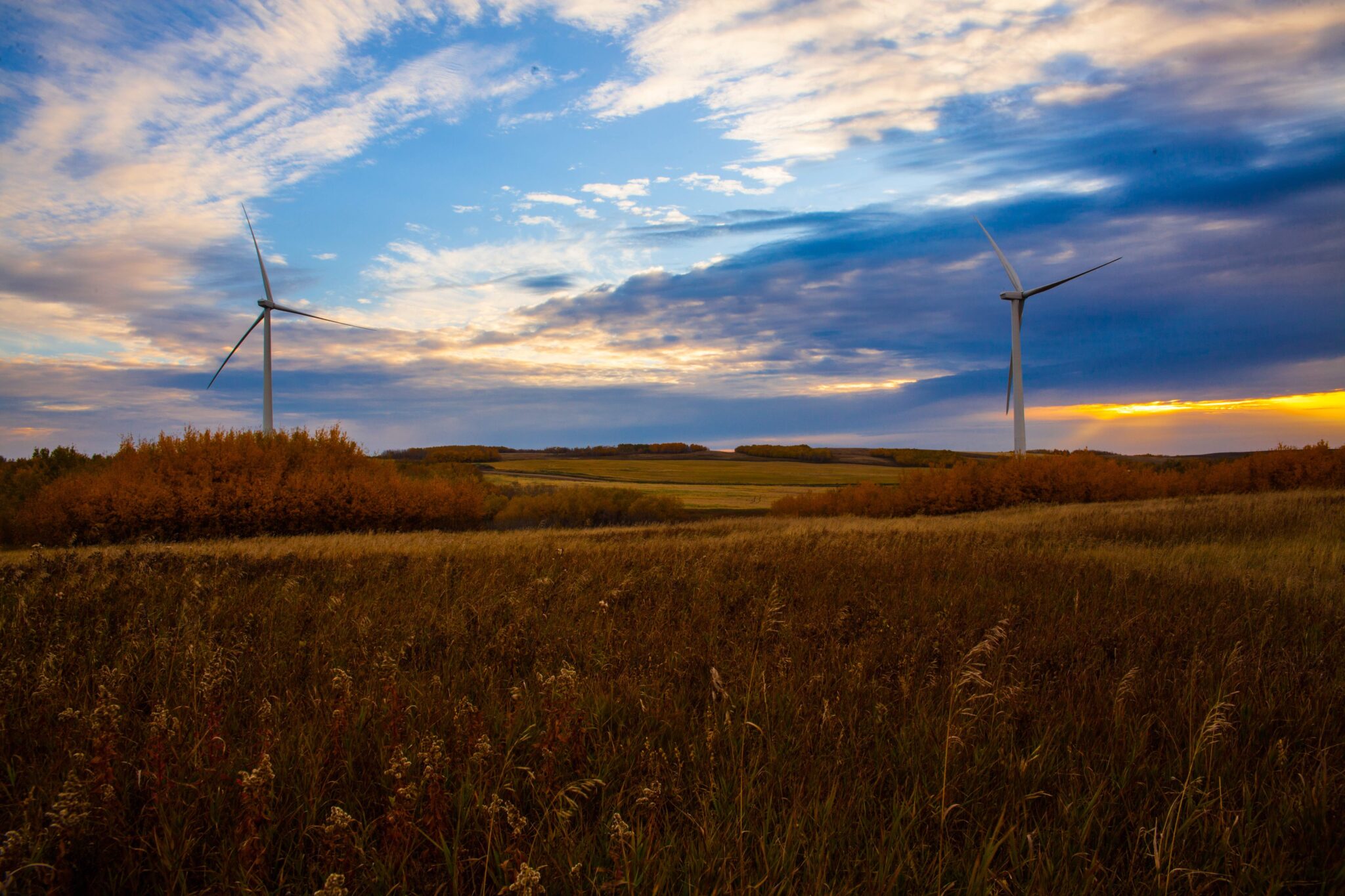 Alberta’s Wind Energy Industry - Business In Calgary